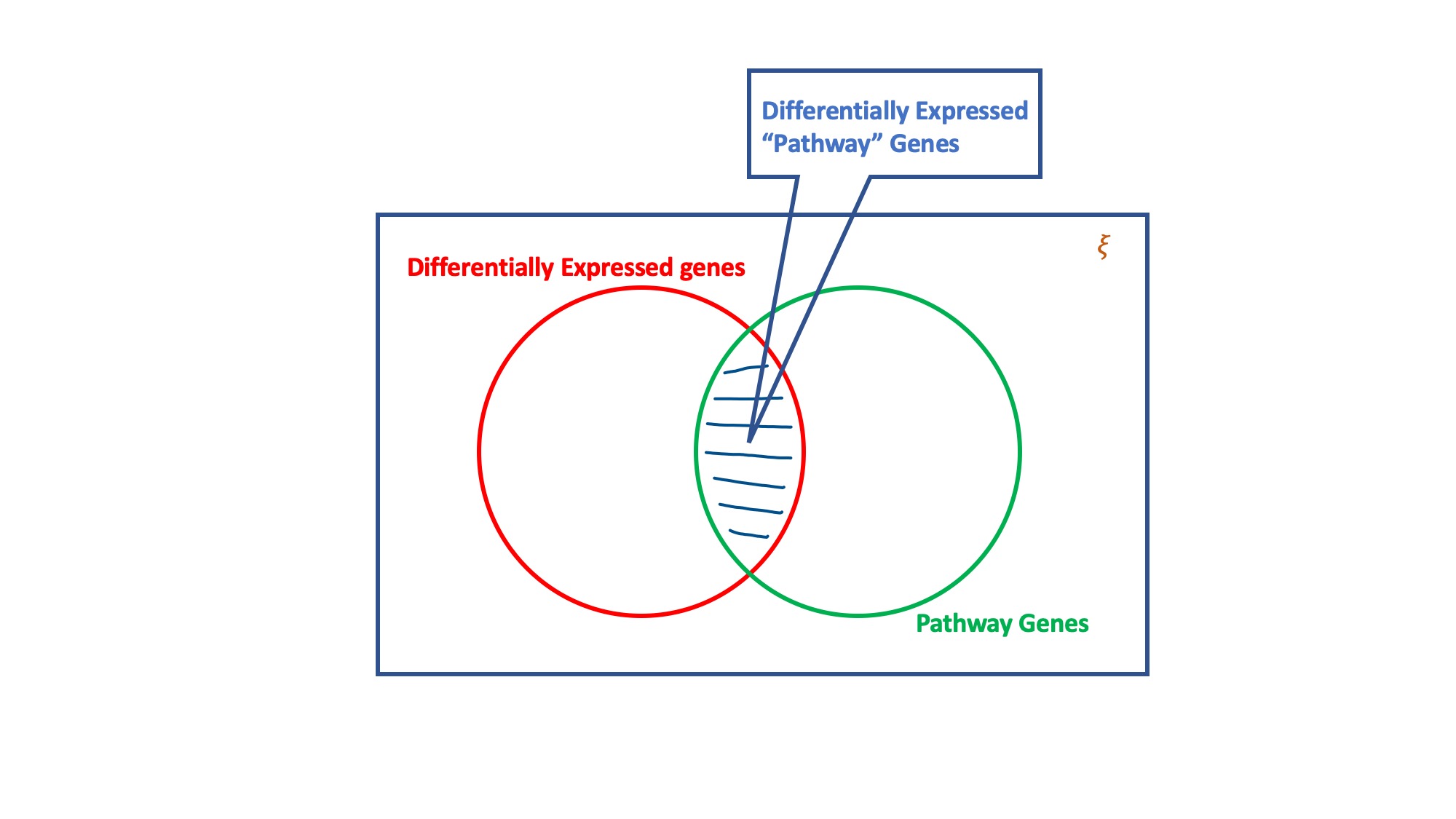 Pathway Analysis in Bioinformatics: Mapping Data to Information